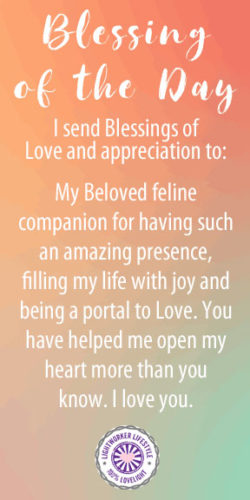 Blessing of the Day: My Cat | Lightworker Lifestyle